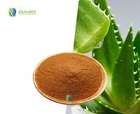 China Food Grade Aloe Vera Extract Aloin Powder 20% 80 Mesh for Pharmaceutical and Cosmetic Use for sale
