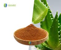 China Food Grade Aloe Vera Extract Aloin Powder 20% 80 Mesh for Pharmaceutical and Cosmetic Use for sale