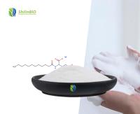 China Sodium Lauroyl Glutamate Powder 95% Surfactant CAS 29923-31-7 for Gentle Cleansing for sale