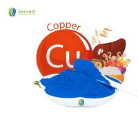 China Food Grade Copper Glycinate Powder 27% Copper Nutrition Enhancer for Supplements for sale