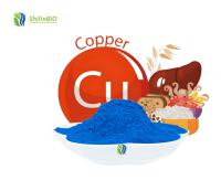 China Food Grade Copper Glycinate Powder 27% Copper Nutrition Enhancer for Supplements for sale