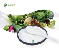 China High Purity Raffinose Powder 98% Prebiotic Oligosaccharide for Gut Health and Food Applications for sale