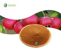 China Hawthorn Leaf Berry Extract Flavonoids 5% 50% Plant Extract Powder for Cardiovascular Health for sale