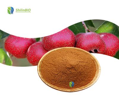 China Hawthorn Leaf Berry Extract Flavonoids 5% 50% Plant Extract Powder for Cardiovascular Health for sale