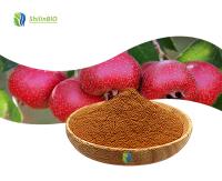 China Hawthorn Leaf Berry Extract Flavonoids 5% 50% Plant Extract Powder for Cardiovascular Health for sale