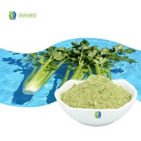 China SLBIO Food Grade Celery Powder 80 Mesh Apium Graveolens Extract for Seasoning for sale