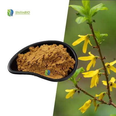 China SLBIO Food Grade Gymnema Sylvestre Leaf Extract Powder 10:1 20:1 80 Mesh for sale