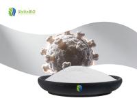 China High Quality Food Additives Lipase Enzyme Powder CAS 9001-62-1 Bulk Food Grade Lipase Enzyme for sale