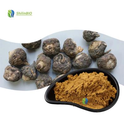 China Food Grade Maca Root Extract 10:1 Ratio Yellow Brown Powder 80 Mesh for sale