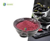 China Wholesale Mulberry Fruit Juice Powder 100% Pure Natural Extract Spray Dried 10:1 Concentrate for sale