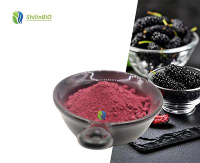 China Wholesale Mulberry Fruit Juice Powder 100% Pure Natural Extract Spray Dried 10:1 Concentrate for sale