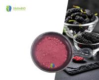China Wholesale Mulberry Fruit Juice Powder 100% Pure Natural Extract Spray Dried 10:1 Concentrate for sale