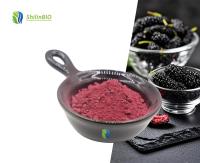 China Wholesale Mulberry Fruit Juice Powder 100% Pure Natural Extract Spray Dried 10:1 Concentrate for sale