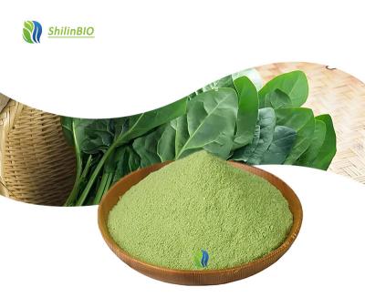 China Spray Dried Spinach Vegetable Powder Water Soluble 100 Mesh Natural Green Food Ingredient for sale
