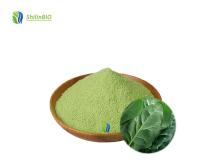 China Spray Dried Spinach Vegetable Powder Water Soluble 100 Mesh Natural Green Food Ingredient for sale