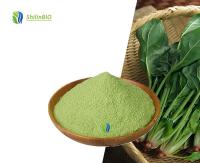 China Spray Dried Spinach Vegetable Powder Water Soluble 100 Mesh Natural Green Food Ingredient for sale
