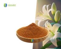 China Food Grade Lily Extract Powder 10:1 Concentrate for Herbal Supplements and Beverages for sale