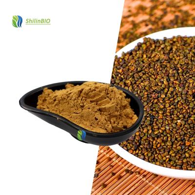 China Food Grade Astragalus Complanatus Seed Powder 80 Mesh Herbal Extract for Kidney Health for sale