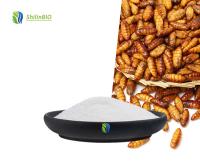 China Silkworm Pupa Protein Powder 80 Mesh Food Grade Peptide for Supplements and Functional Foods for sale
