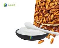 China Silkworm Pupa Protein Powder 80 Mesh Food Grade Peptide for Supplements and Functional Foods for sale