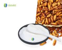China Silkworm Pupa Protein Powder 80 Mesh Food Grade Peptide for Supplements and Functional Foods for sale