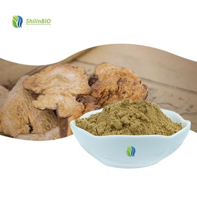 China SLBIO Food Grade Atractylodes Macrocephala Extract 5:1 10:1 20:1 80 Mesh Powder for sale