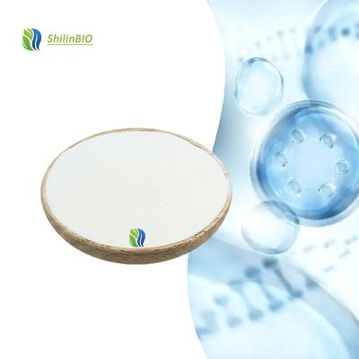 China SLBIO Food Grade Vitamin B1 Powder VB1 99% Purity 80 Mesh for Nutritional Supplements for sale