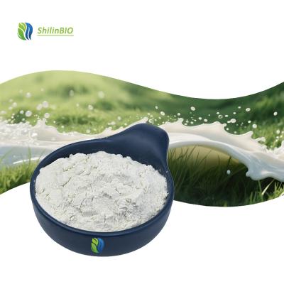 China Food Grade 90% Bovine WPI Whey Protein Isolate Powder for sale