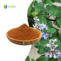 China Food Grade 10:1 20:1 Vitex Trifolia Extract Powder Water Soluble for sale
