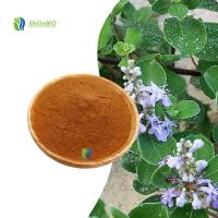 China Food Grade 10:1 20:1 Vitex Trifolia Extract Powder Water Soluble for sale