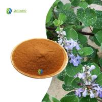 China Food Grade 10:1 20:1 Vitex Trifolia Extract Powder Water Soluble for sale