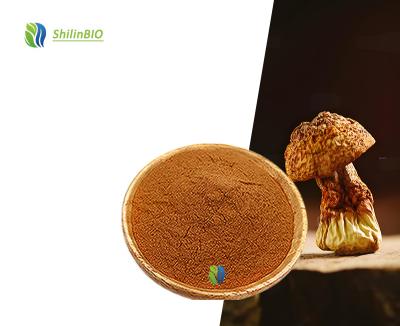 China SLBIO Factory Supply  Agaricus Blazei Mushroom Extract Polysaccharides Agaricus Blazei Powder for sale