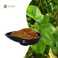 China High Quality 10:1 20:1 Mulberry Leaf Extract Powder Food Grade Herbal Extract for sale