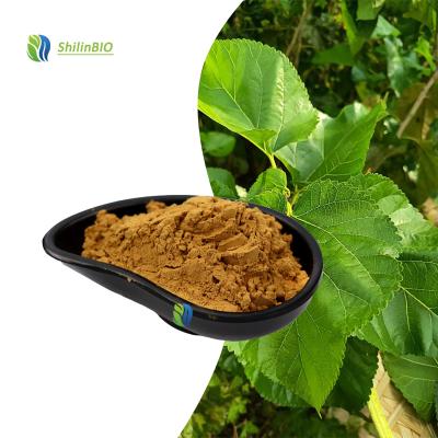 China High Quality 10:1 20:1 Mulberry Leaf Extract Powder Food Grade Herbal Extract for sale