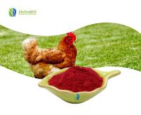 China SLBIO Supply Food Color Poultry Feed Supplement Pure Canthaxanthin Powder CAS NO. 514-78-3 for sale