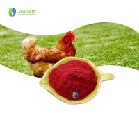 China SLBIO Supply Food Color Poultry Feed Supplement Pure Canthaxanthin Powder CAS NO. 514-78-3 for sale