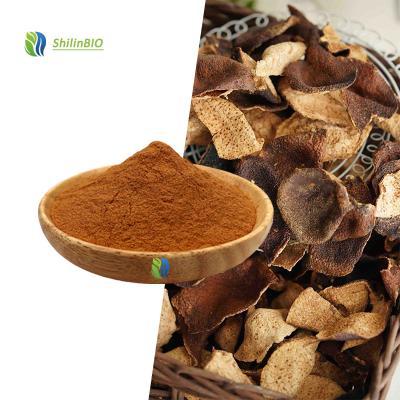 China High Quality 10:1 20:1 30:1 Citri Reticulatae Pericarpium Extract Herbal Extract for sale
