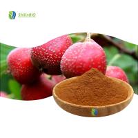 China High Quality 10:1 20:1 30:1 Crataegus Pinnatifida Extract Food Grade Hawthorn Berry Extract for sale