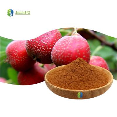 China High Quality 10:1 20:1 30:1 Crataegus Pinnatifida Extract Food Grade Hawthorn Berry Extract for sale