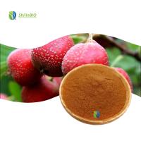 China High Quality 10:1 20:1 30:1 Crataegus Pinnatifida Extract Food Grade Hawthorn Berry Extract for sale