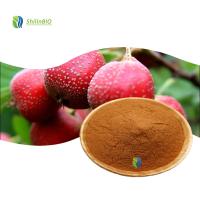 China High Quality 10:1 20:1 30:1 Crataegus Pinnatifida Extract Food Grade Hawthorn Berry Extract for sale