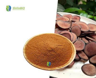 China SLBIO Food Grade Deer Antler Herbal Extract 10:120:1 Water Soluble Deer Antler Powder for sale