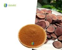 China SLBIO Food Grade Deer Antler Herbal Extract 10:120:1 Water Soluble Deer Antler Powder for sale