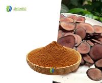 China SLBIO Food Grade Deer Antler Herbal Extract 10:120:1 Water Soluble Deer Antler Powder for sale
