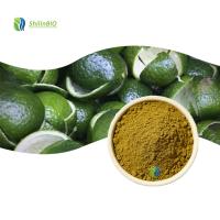 China SLBIO Supply Tangerine Peel Extract 10:1 Pericarpium Citri Reticulatae Viride Extract for sale