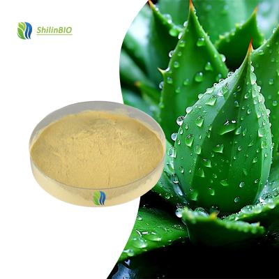 China High Quality Aloe Vera Extract 20% 40% Barbaloin Powder for sale