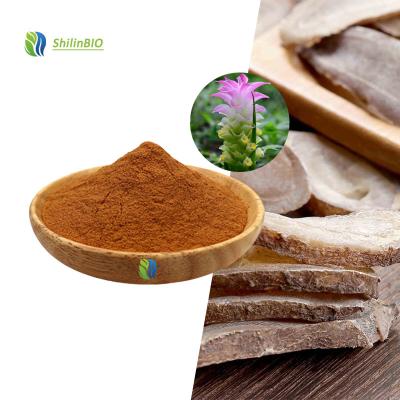 China SLBIO Supply 10:1 20:1 30:1 Curcuma Aromatica Extract Powder for sale