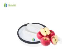 China Wholesale Price High Quality Pectinase Enzyme Pectinase Powder Free Sample Pectinase Enzyme Price for sale