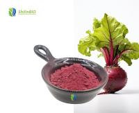 China SLBIO Supply Herbal Extract Supplement Beetroot Powder Customized Private Label Beet Root Powder for sale