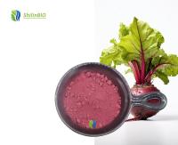China SLBIO Supply Herbal Extract Supplement Beetroot Powder Customized Private Label Beet Root Powder for sale